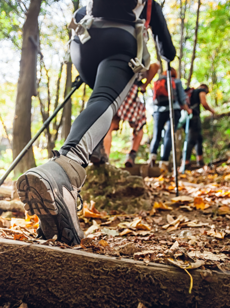 Arrow Valley Visitor Centre | Arrow Valley